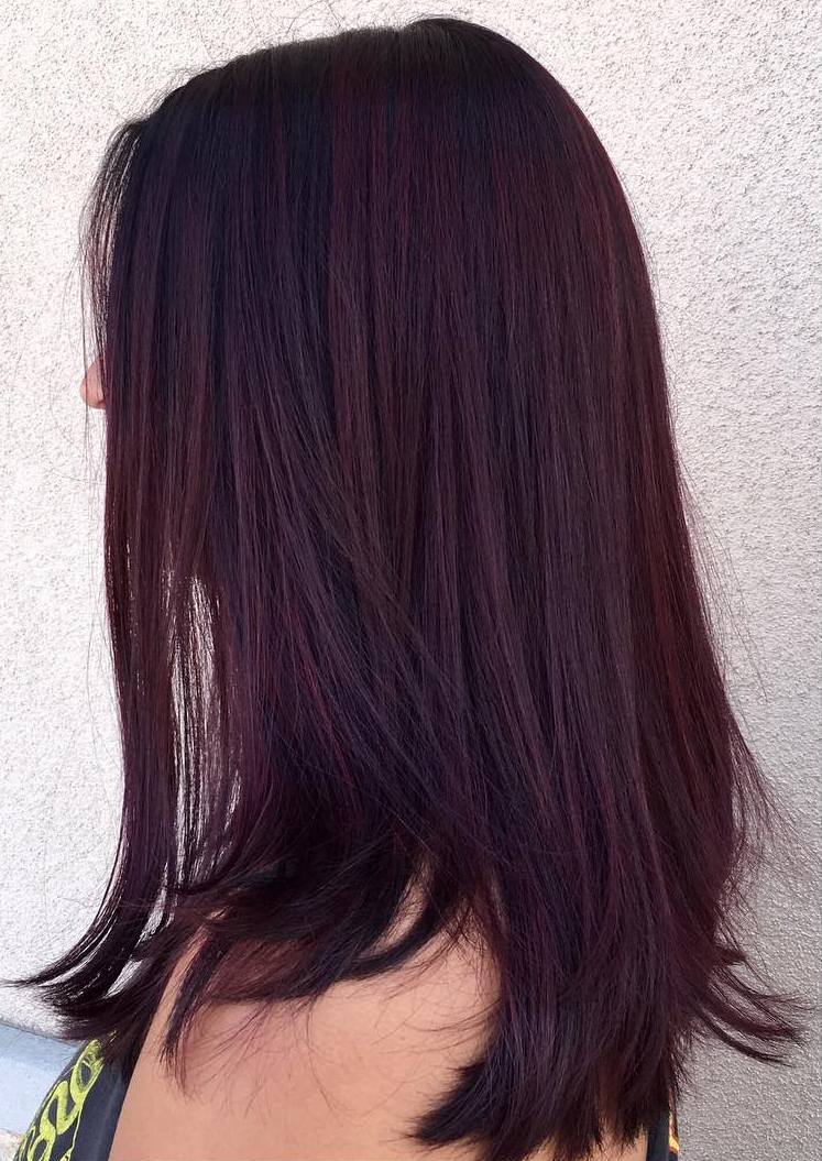 Mahogany Purple Hair Color